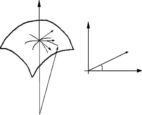 Curvature Approximation Download Scientific Diagram
