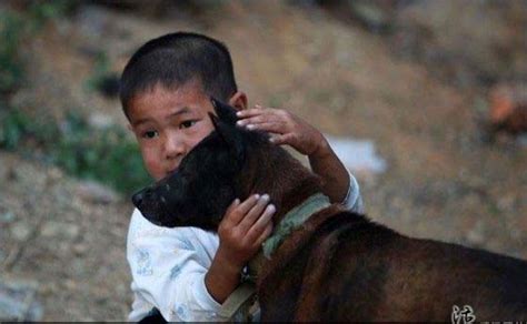 ყველასგან განდევნილი კვირის პალიტრა