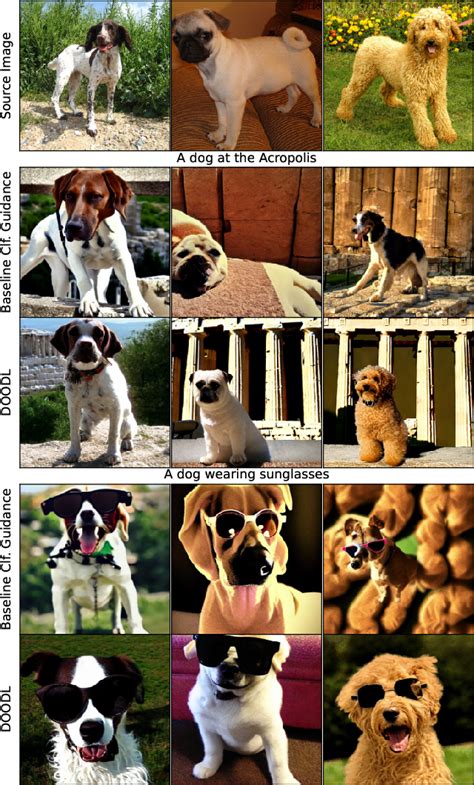 Figure 9 From End To End Diffusion Latent Optimization Improves Classifier Guidance Semantic