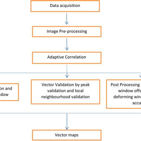 Sequence Of The Piv Analysis Download Scientific Diagram