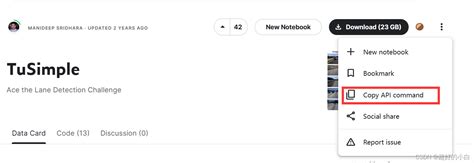 【问题记录】使用命令语句从kaggle中下载数据集kagglejson Csdn博客