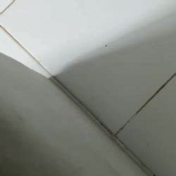 VID Porn Videos Photos EroMe