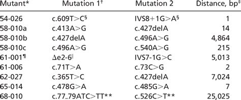 Multiple Hprt Mutations In Tubular Epithelial Cells Download Table