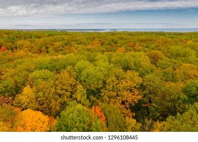 271 Fall Trees Ariel Images Stock Photos Vectors Shutterstock