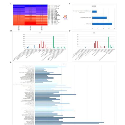 The Analysis Of The Proteins Interaction Network By String Database Download Scientific