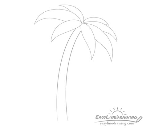 How To Draw A Palm Tree Step By Step EasyLineDrawing