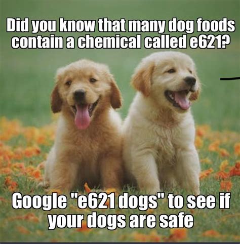 Regulation Scrolller