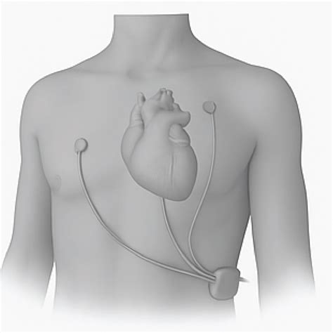Neurips Workshop Foundation Models For The Brain And Body