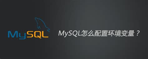 Mysql怎麼配置環境變數？ Mysql教程 Php中文網