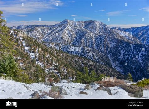 Mount Baldy White Mountain The 10 Tallest Peaks In Arizona Fvose