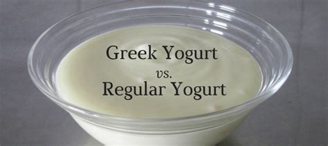 Regular Plain Yogurt Vs Greek Yogurt Which Is Better Shana Hopkins MS Nutritionist