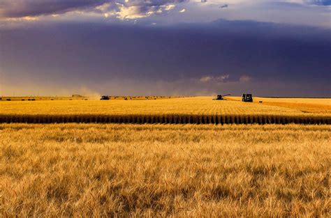 Largest Landowner In Kansas May Come As A Surprise Ksnfkode