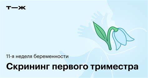 11 неделя беременности что происходит с мамой и малышом