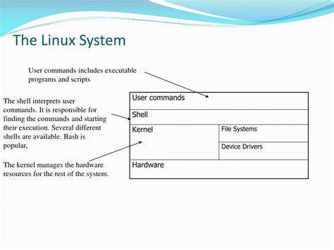 PPT Linux File Hierarchy PowerPoint Presentation Free Download ID