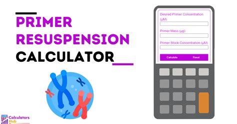 Primer Calculator Square Feet At Bobby Richardson Blog