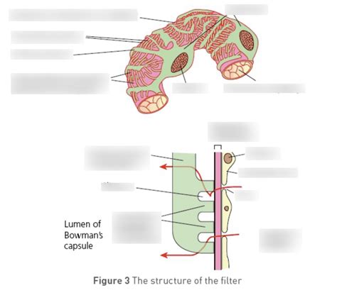 What Is The Purpose Of A Compensating Filter Quizlet At Christopher Bryant Blog