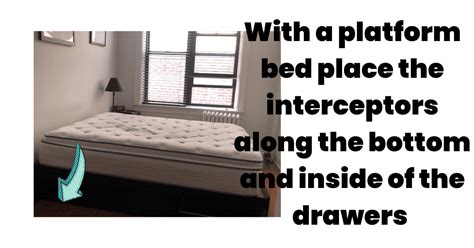 What Are Bed Bug Interceptors Hint A Great Monitoring Tool