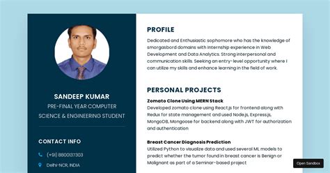 Resume Builder Using React Codesandbox