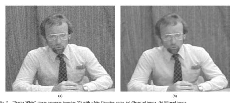 Figure 3 From A Motion Compensated Spatio Temporal Filter For Image