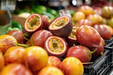 Passion Fruit Varieties What You Need To Know Vncommex