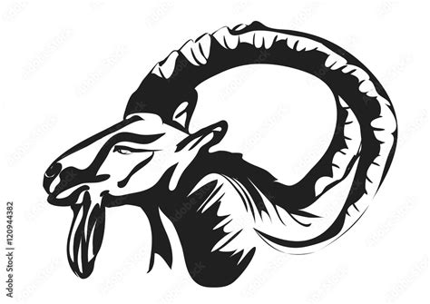 Ibex Stock Vector Adobe Stock