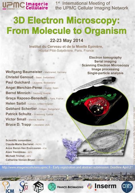 3d Electron Microscopy From Molecule To Organism 22 23 May France Bioimaging