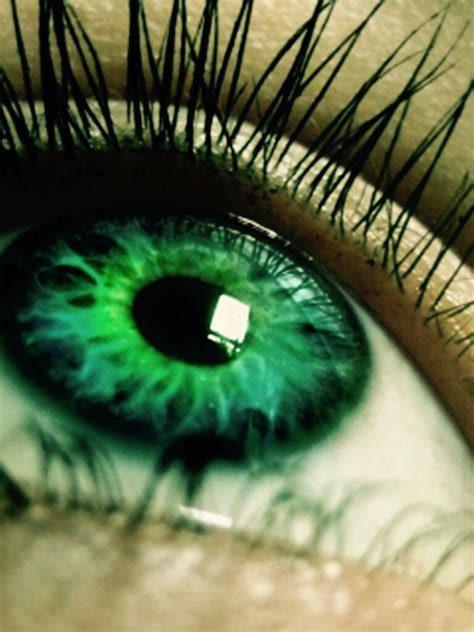 Sex With A Beast Sex With A Beast Series Chapter Wattpad