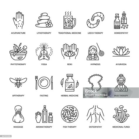 대체 의학 라인 아이콘입니다 Naturopathy 전통적인 치료 동종 요법 Osteopathy 초본 물고기와 거머리 치료 의료 센터에 대 한 얇은 선형 표지판 마사지에 대한