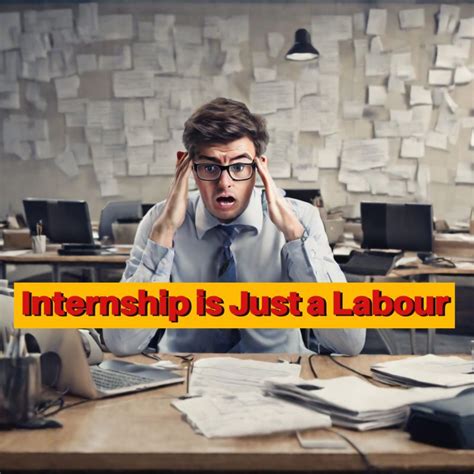 hira qureshi on linkedin internships internee internshipcompletion