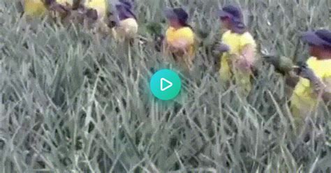 teamwork on imgur