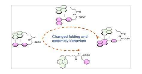 Engineering π Conjugation Of Phenylalanine Derivatives For Controllable