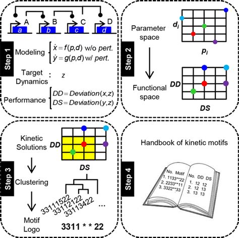 Steps In The Kinetic Motif And Functional Analysis Kmfa Pipeline