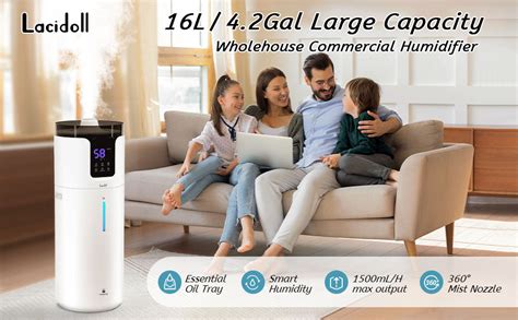 Lacidoll Humidifier Troubleshooting Expert Tips And Solutions