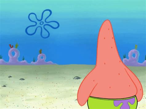 Season 7 Growth Spout  By Spongebob Squarepants Find And Share On Giphy
