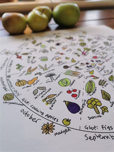 Uk Seasonal Fruit And Vegetable Harvest Wheel We Relove