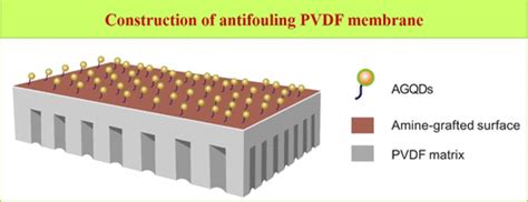 表面共价锚定功能化石墨烯量子点的防污pvdf膜 Industrial And Engineering Chemistry Research X Mol