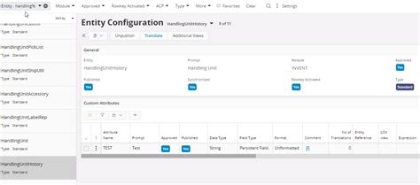 Entity Not Showing In Entity Configuration Ifs Community