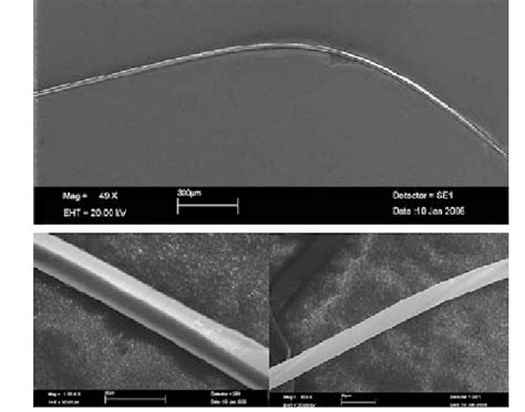 Electron Micrographs Of Conducting Polymer Microwires The Wire In The Download Scientific