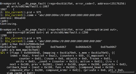 Linux进程地址空间与页帧调试实验 Csdn博客
