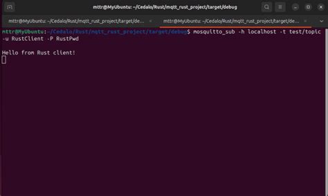 How To Use The Paho Mqtt Client Library In A Rust Project