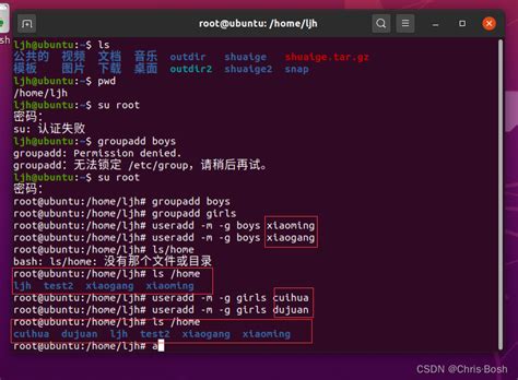 虚拟机ubuntu操作系统常用终端命令（2）（详细解释 详细演示） 乌班图root用户登入系统打开终端怎么保存退出 csdn博客