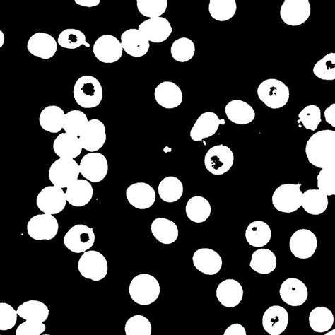 Segmented Binary Images And Their Contours The Split Points Are Shown