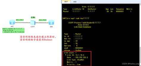 路由 ospf lsa介绍、1~7类lsa详细介绍 ospf lsa类型详解 csdn博客