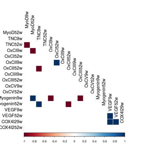 P Value R Corrplot Not Blanking Insig Stack Overflow