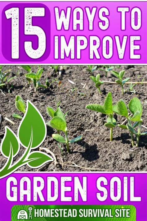 15 Ways To Improve Garden Soil Homestead Survival Site