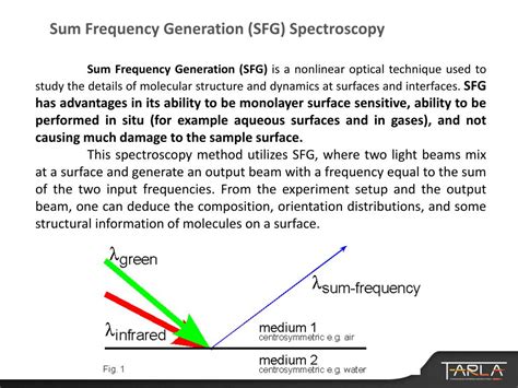 Ppt Pervİn Arikan Gazi University Ankara Powerpoint Presentation Free Download Id3371617