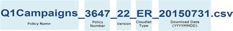 download rules in csv format