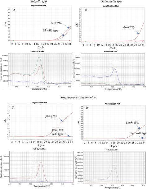 amplification plots and melting curves of mrt naat detection of amr