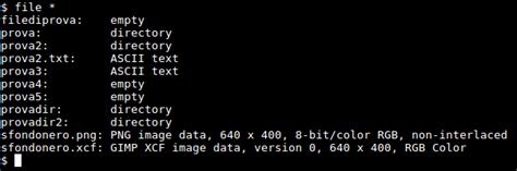 Il Tipo Di File Su Linux Andrea Minini
