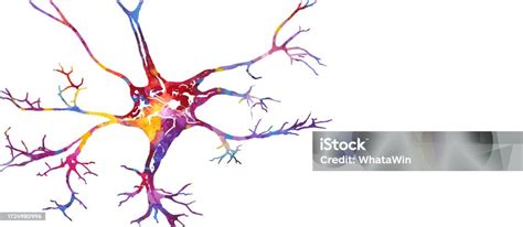 Neuron Colorful Watercolor Vector Illustration Stock Illustration